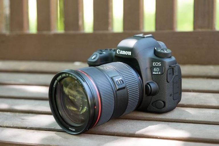 5 Best DSLR Camera For Beginners: Reviews, Features & Pricing